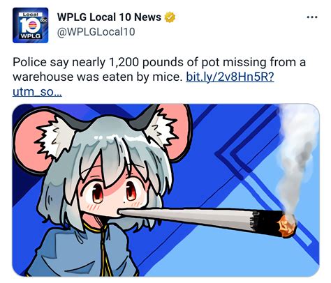 Nazrin Touhou And More Drawn By Kasuya Baian Danbooru