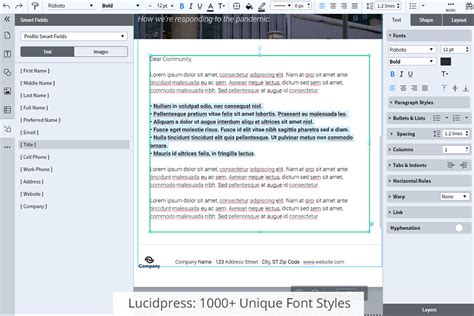 Adobe Express Vs Lucidpress Which Software Is Better