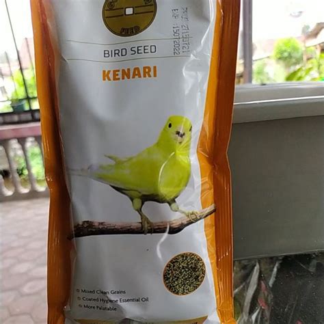 Jual Gold Coin Kenari Shopee Indonesia