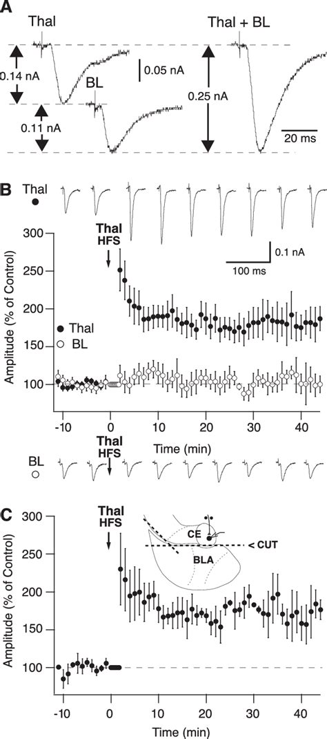 hfs of thalamic afferents induces input specific ltp a occlusion