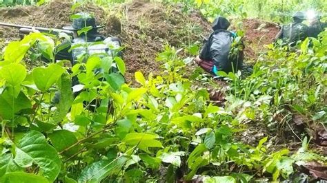 ညောင်ခါးရှည် ရဲစခန်း တိုက်ခိုက်ခံရမှု ဒေသခံ ၂၀ ကျော် ဖမ်းဆီးခံထားရ Youtube