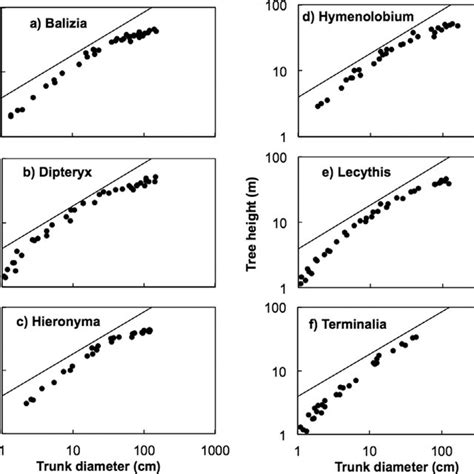 Tree Height Vs Trunk Diameter At Tree Height Or Above Buttresses Download Scientific