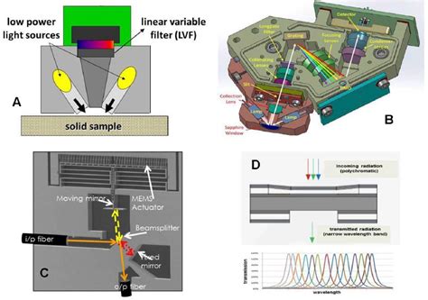 Frontiers Hand Held Near Infrared Spectroscopy For Authentication Of Fengdous And Quantitative