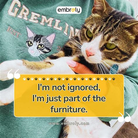 81 Funny Cat Captions And Quotes For Feline Lovers