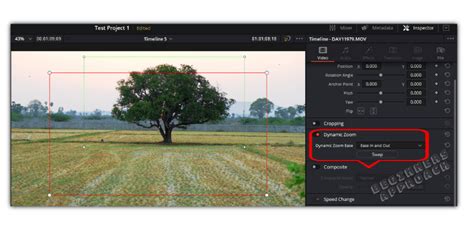 Davinci Resolve Dynamic Zoom Heres What You Should Know