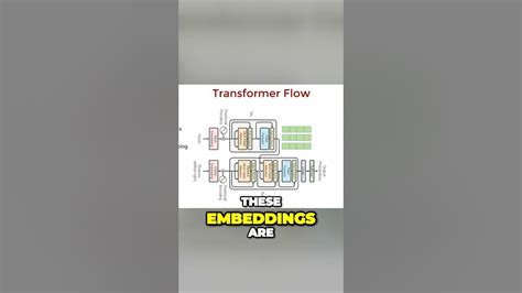 how does transformer translate deeplearning machinelearning youtube