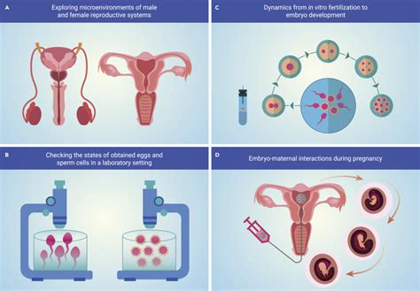 Single Cell Technologies From Research To Application The Innovation