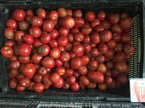 Opencv Getting Edge Of Image At Different Level Stack Overflow