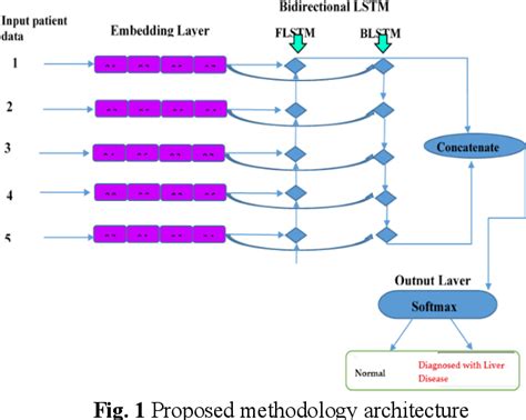 Figure 1 From Efficient Diagnosis Of Liver Disease Using Deep Learning Technique Semantic Scholar