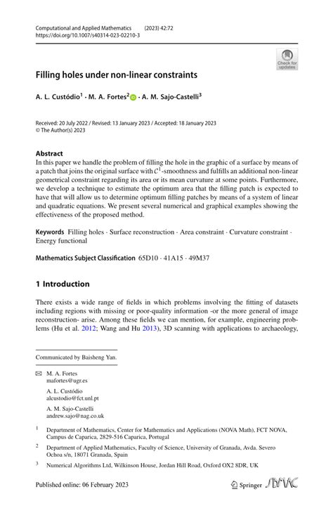 pdf filling holes under non linear constraints