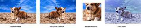 Self Supervised Learning In Computer Vision Image Classification