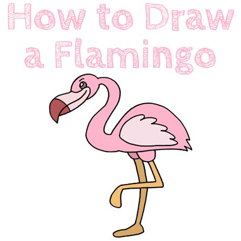 How To Draw A Flamingo How To Draw Easy