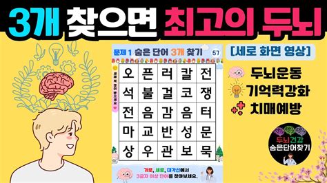 3개만 찾아도 최고의 두뇌 숨은 단어 221 숨은단어찾기 두뇌운동 단어퀴즈 치매예방퀴즈 낱말퀴즈 숨은단어찾기