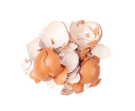 Broken Egg Shell Crushed Eggshell Calcium Supplement Cracked Eggshells Compost Ingredient