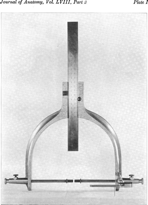 Figure 1 From THE THICKNESS OF THE SCALP Semantic Scholar