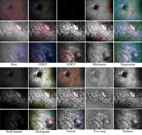 A Benchmark Dataset For Both Underwater Image Enhancement And Underwater Object Detection DeepAI