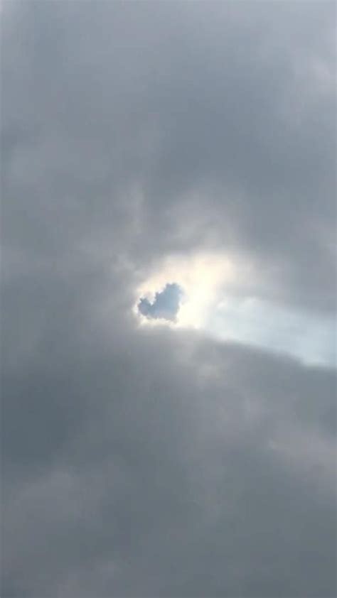 220 Lily Core Aesthetic Ideas Core Aesthetic Lily Core Aesthetic Aesthetic