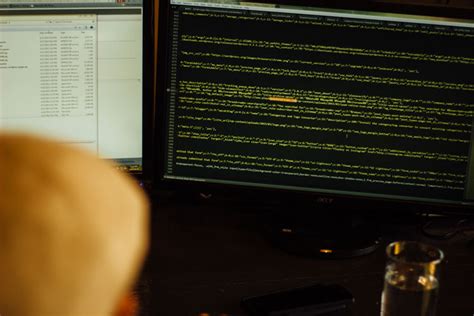custom web development vs wordpress development blueshoon chicago