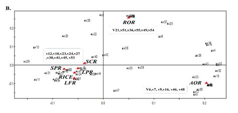 Partial Least Squares Discriminant Analysis Pls Da Score Plot For