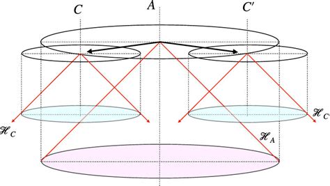 Causal History Of Anisotropy Observed From World Line A Vertical Lines