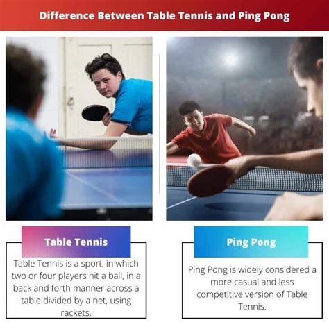 Table Tennis Vs Ping Pong Difference And Comparison