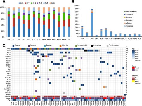 Figure 1 From Exome Sequencing Identifies Somatic Mutations In Novel