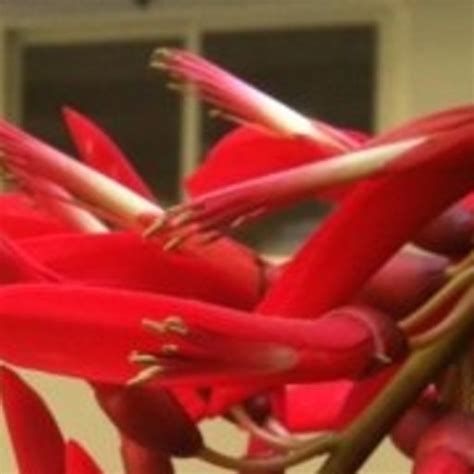 Chih Hsueh Lin Professor Assistant Doctor Of Philosophy Hungkuang University