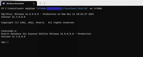Explorando Oracle Database Express Edition Xe En Tu Computadora Personal Como Entorno De
