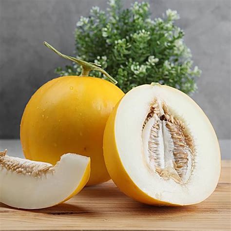 신선한 향기와 달콤한 양구 메론 우리의식탁 큐레이션