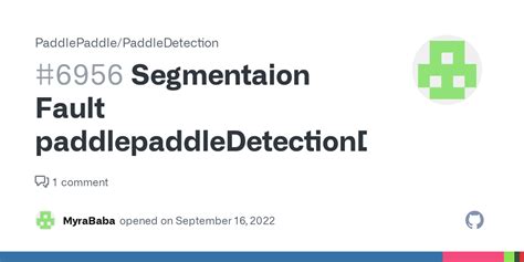 Segmentaion Fault Paddlepaddledetectiondev · Issue 6956 · Paddlepaddle