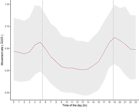 Circadian Rhythms Of Activity Of Apennine Brown Bears Indexed By Hourly Download Scientific