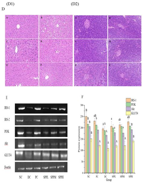 Structural Characterization And Hypoglycemic Function Of Polysaccharides From Cordyceps Cicadae