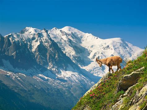 10 Highest Mountain In The Alps Climbing Kilimanjaro