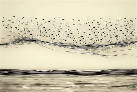 flocking birds 001 by lowthunders on deviantart