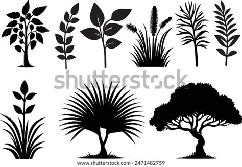 Tree Collection Vector Free Vector Set Stock Vector Royalty Free 2471482759 Shutterstock