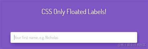 Css Placeholder Shown Pseudo Class Implementation Input Box Floating