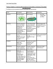 Putting it Together Comparing Mitochondria and Chloroplasts Comparing Chloroplasts with ...
