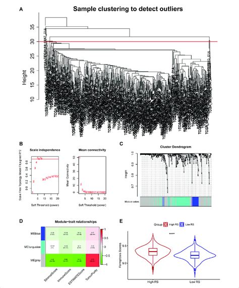 A Clustering Of Samples And Removal Of Outliers B Analysis Of
