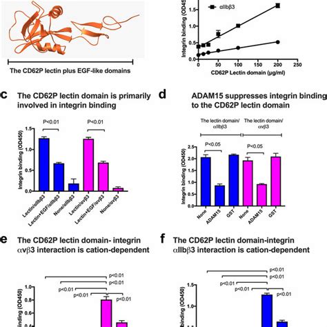 The Cd62p Lectin Domain Binding To Integrin And Psgl 1 A The Download Scientific Diagram
