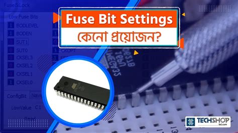 Fuses In Microcontroller At Gerald Maurer Blog Fuses In Microcontroller At Gerald Maurer Blog