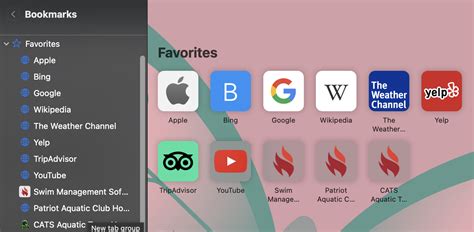 Macos Incorrect And Indelible Bookmarkfavorite Icons In Ios 15