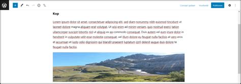 Top Biggest Web Design Mistakes Techzle