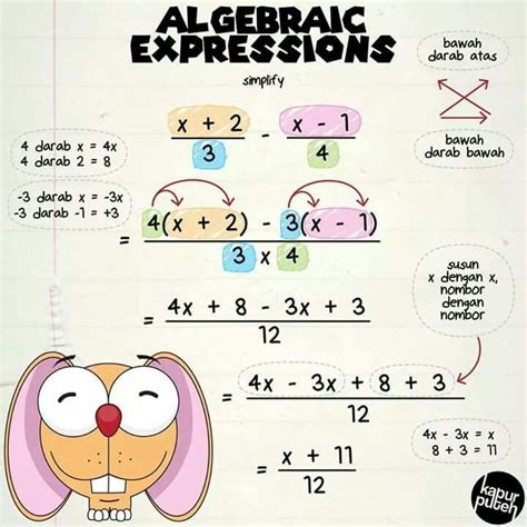 Algebraic Expressions Simplify Basic Math Skills Simplifying Algebraic Expressions Math Humor