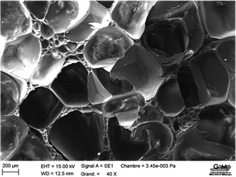 Microstructure Of Virgin Diab Divinycell Foam Core H100 Download Scientific Diagram