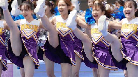 palpis限定 と のセット PPV AV