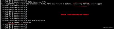 Golang 从源码到二进制：探索在国产cpu架构上交叉编译minio的方法golang Loong64 Csdn博客