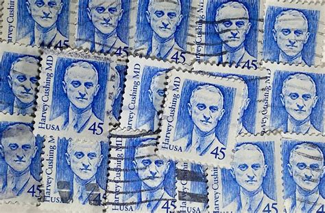 Harvey Cushing Drawing