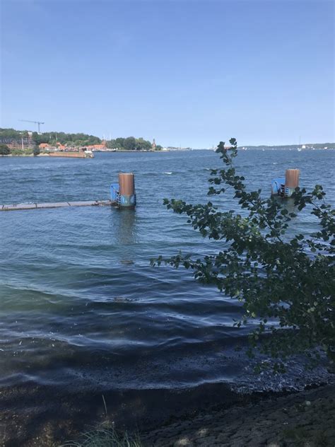 Bow Wave Archives Adventures In Oceanography And Teaching