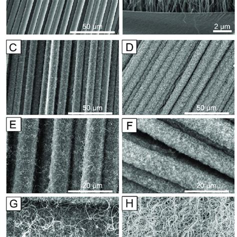 Multiscale Hierarchical Structure Of Carbon Fiber With Carbon Nanotubes