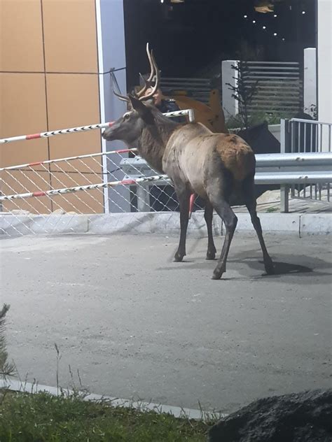 Богдхан уулын дархан цаазат газрын Хамгаалалтын захиргаа